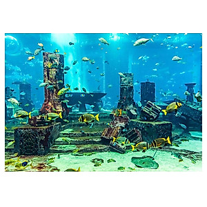 Aquarium Poster, Underwater City Ruins Background Sticker Thicken PVC Adhesive Backdrop Fish Decorative Paper(61×41cm)