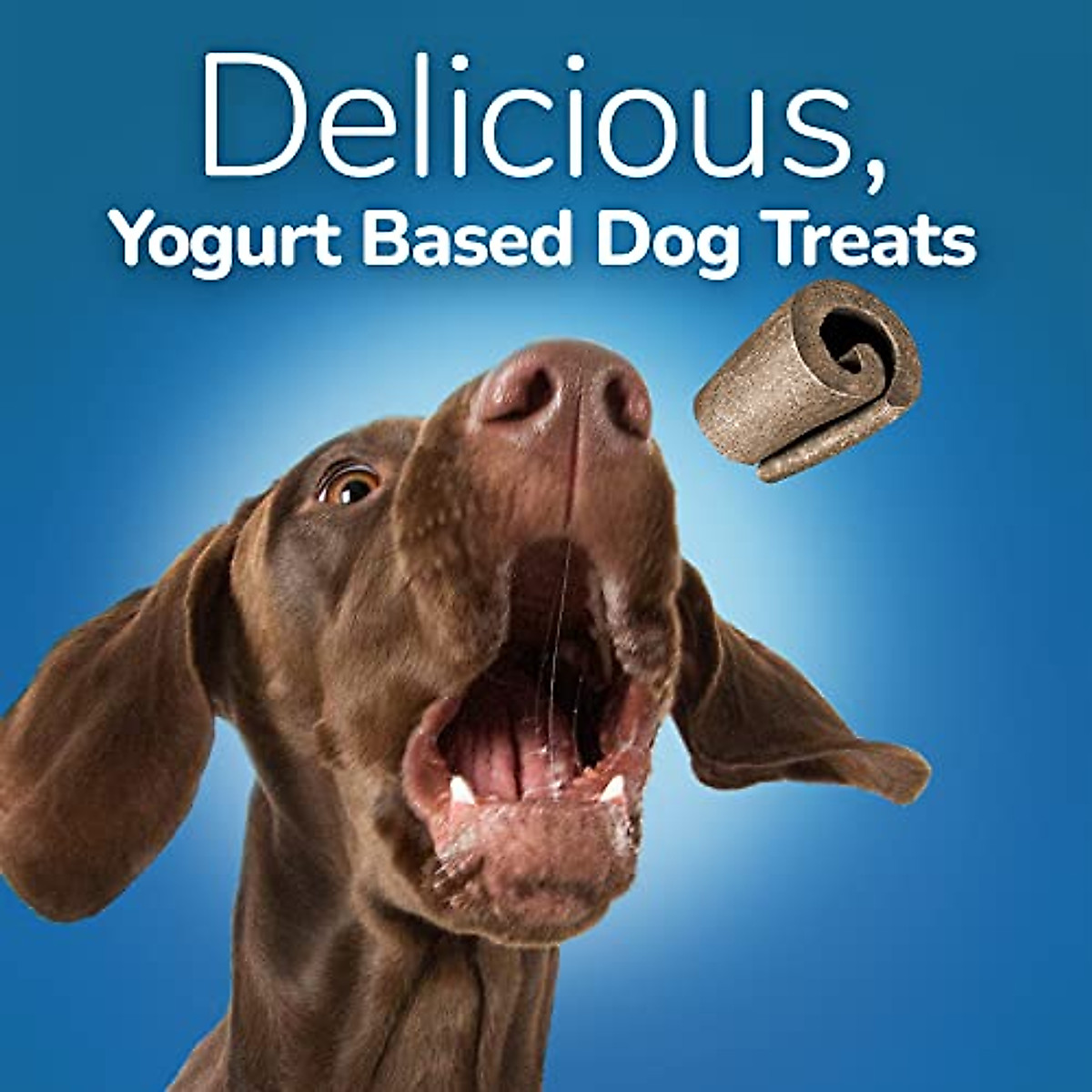 Fruitables Real Yogurt Treats – Roll-Up Dog Treats – Blueberry Flavor – Natural Ingredients – 12 Ounces