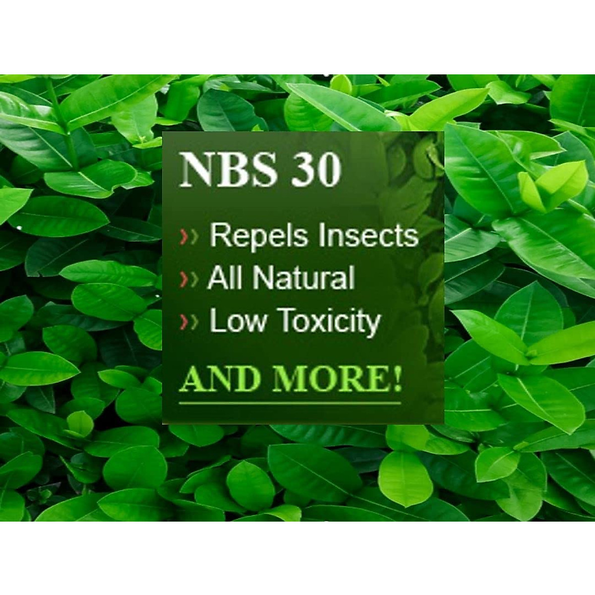 Outlast NBS30 - No Bug Stuff Paint Additive - 16 oz Bottle