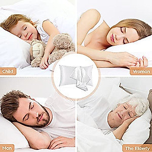 Veaken Silk Pillowcase for Hair and Skin, 2 Pack 100% Mulberry Silk Pillowcase 25 Momme, 600 Thread Count, Both Side Pure Silk Pillow Cover with Hidden Zipper (White, Standard 20''×26'')