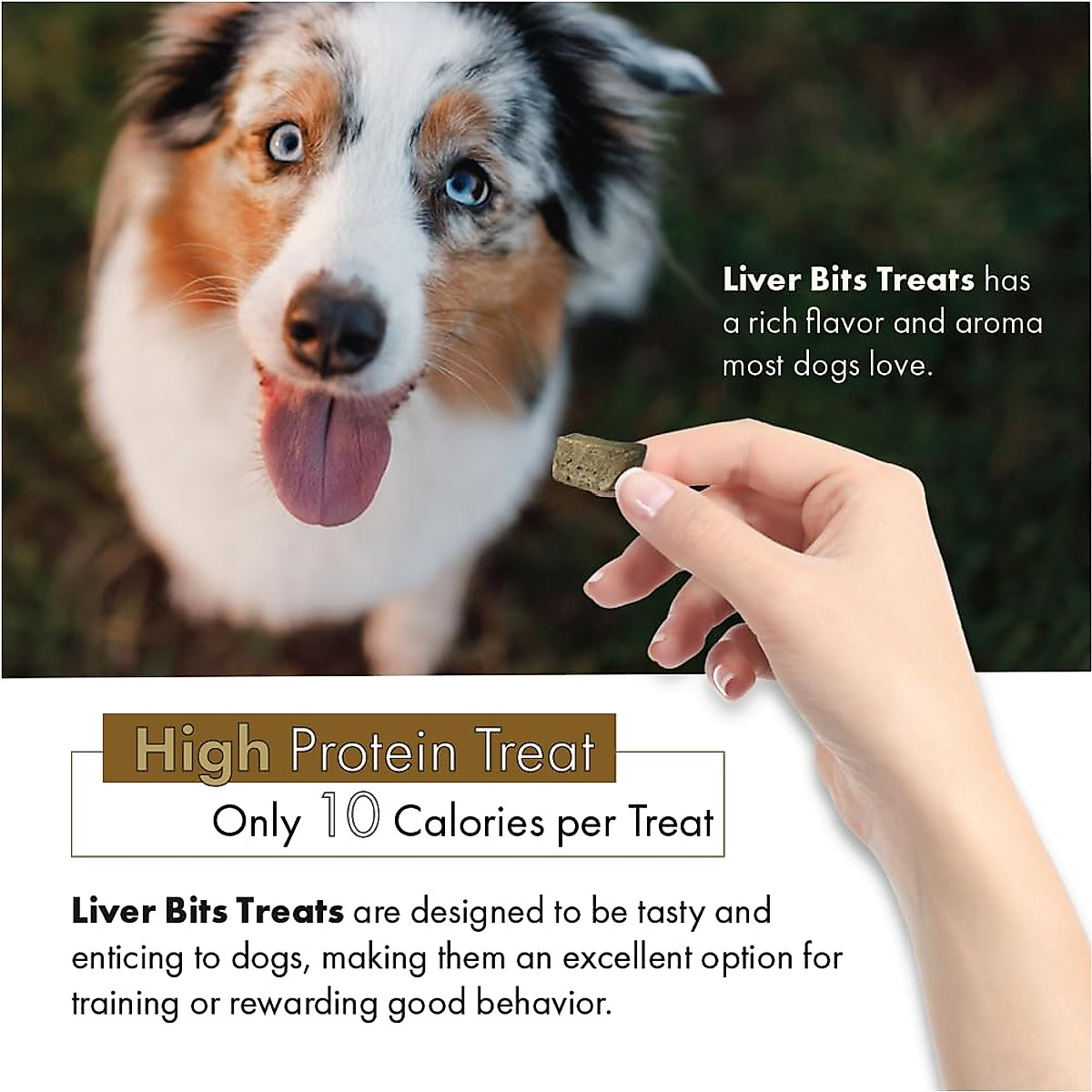 Liver Bits Treats for Dogs - Freeze Dried Training Treats - 100% Natural Raw Beef Liver - High in Protein 4 oz
