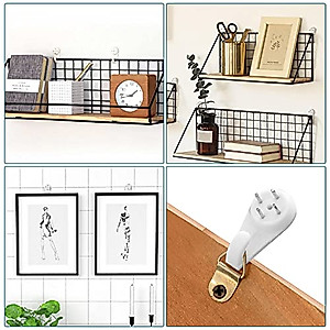 Invisible Nail Wall Screw Hooks, 73Pcs Concrete Hanging Hooks Hardwall Non-Mark Invisible Nail Wall Hangers for Photo Frame Art Painting Non-Trace Drywall Stucco Concrete Hooks (WHD70)