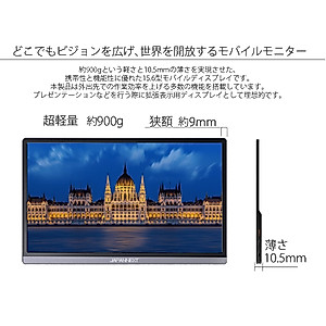 JAPANNEXT JN-MD-IPS1563FHDR 15.6-Inch FHD Mobile Monitor USB Type-C Mini HDMI