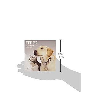 PETKIT 'FIT' Lightweight Water-resistant Smart Activity and Mood Monitoring Pet Dog Cat Activity Tracker Monitor, One Size, Gold