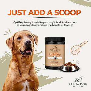 Alpha Dog Nutrition OptiPup All-in-1 Puppy Multivitamin Contains 31 Superfoods Including Probiotics and Prebiotics for Digestive Support, Skin & Immune Health, and Optimum Growth (60 Servings)