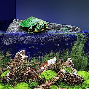 INKPET Turtle Floating Basking Platform, Reptile Climbing Tortoise Resin Resting Terrace for Frogs Newts Amphibians Lizard