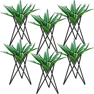 6 Pieces Air Plant Holder Black Metal Tabletop Air Plant Stand Rack Air Fern Display Stand for Home, Office and Wedding Decoration