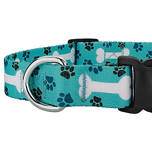 Country Brook Design - Oh My Dog Deluxe Dog Collar - Made in The U.S.A. - Dog's Life Collection featuring Playful Designs (1 Inch, Medium)