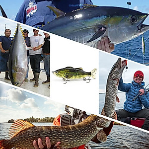 ODS Lure Glide Bait with PVC Tail Sinking Fishing Tackle Set for Bass Trout Shad Perch Pike (Set 1)