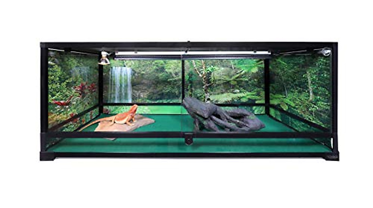 Carolina Custom Cages Tempered Glass Terrarium - Easy Setup
