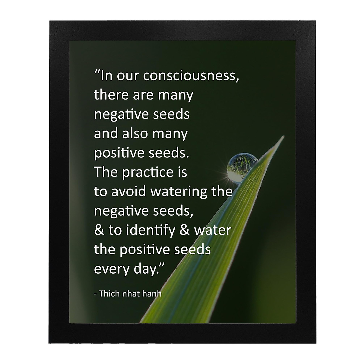 Identify And Water The Positive Seeds Every Da -Thich Nhat Hanh Positive Affirmation Wall Art, Spiritual Wall Decor Print For Home Decor, Office Decor, Apartment Decor, or Zen Room, Unframed - 8x10