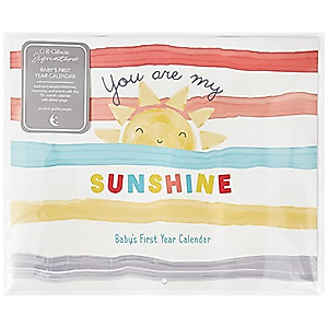 C.R. Gibson BA3-24545 You are My Sunshine Gender Neutral Baby's First Year Keepsake Calendar, 11" W x 18" H Open, Multicolor
