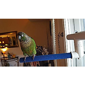 Polly's Sandy Window and Shower Bird Perch, Small