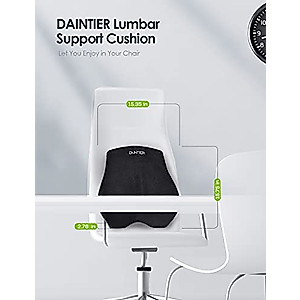 DAINTIER Back Cushion,Lumbar Support Cushion Pillow,100% Memory Foam Car Cushion, Office Chair Cushion for Back Pain Relief, Ideal Back Support for Car Seat, Gaming Chair，Wheelchair…