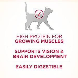 Purina ONE High Protein, Natural Dry Kitten Food, +Plus Healthy Kitten Formula - 3.5 lb. Bag