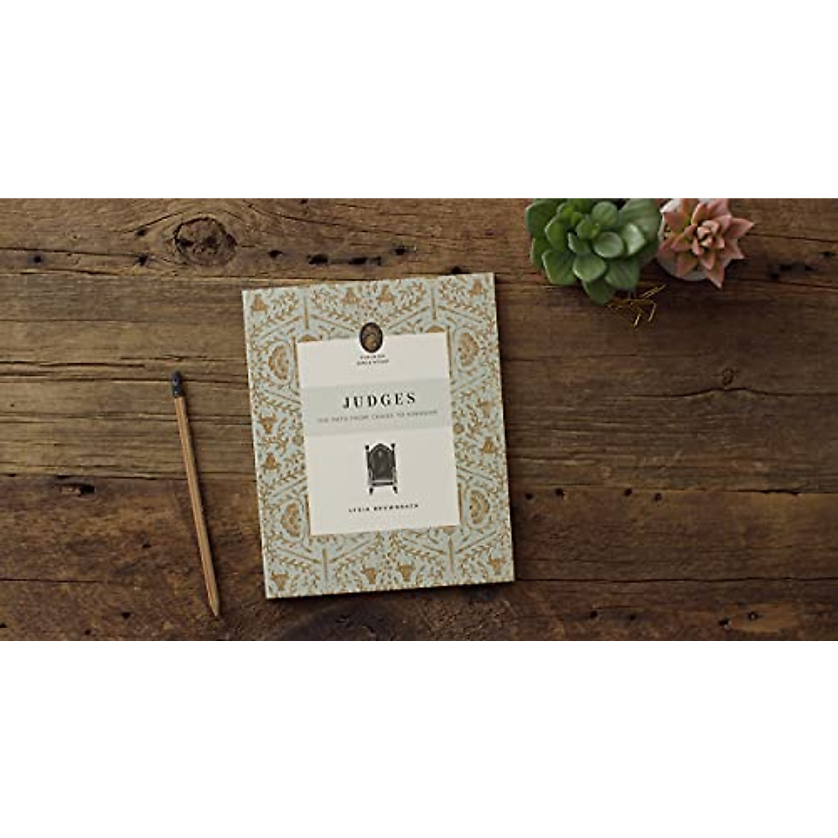 Judges: The Path from Chaos to Kingship (Flourish Bible Study)