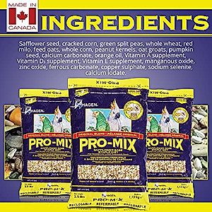 Parrot Vme Pro-Mix Seed, 2-1/2-Pound