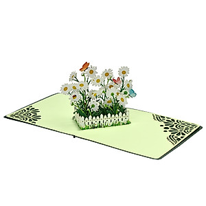 CUTPOPUP Mothers Day Card Pop Up, Birthday 3D Greeting Card (Daisy Flowers)