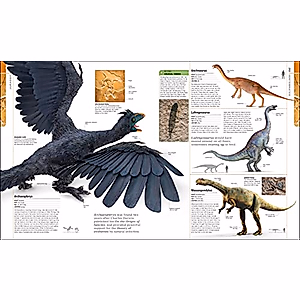 Dinosaurs and Prehistoric Life: The Definitive Visual Guide to Prehistoric Animals (DK Definitive Visual Encyclopedias)