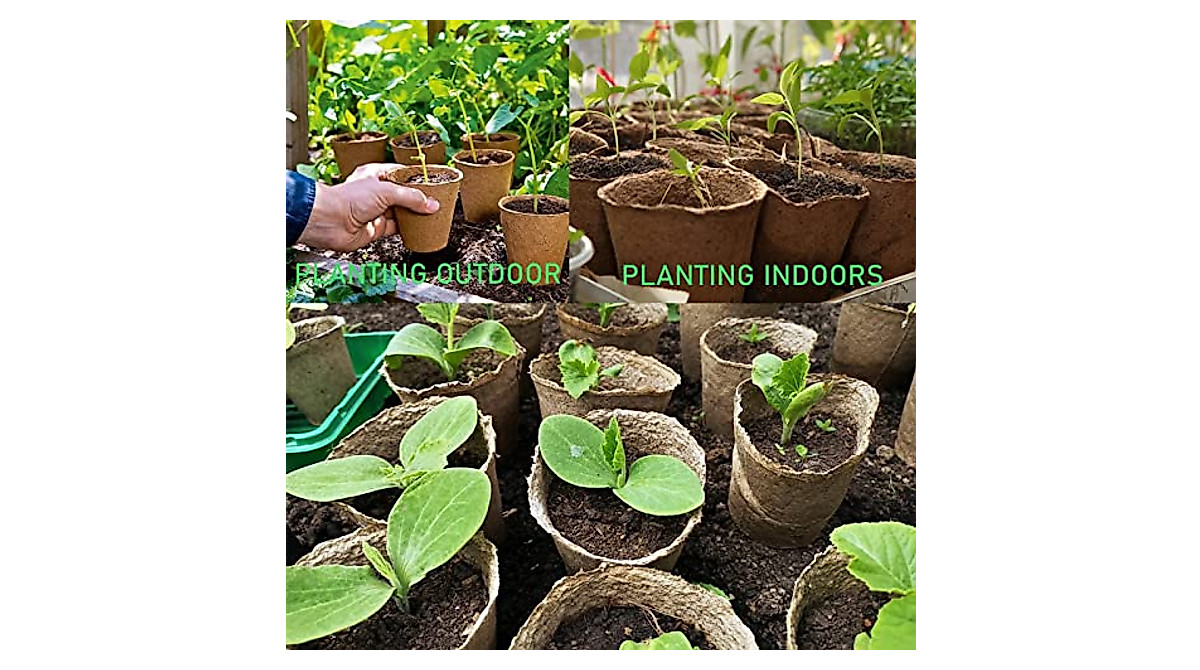 IAXSEE 100 Pack Peat Pots for Seed Starting - 3.15 Inch Nursery Pots