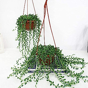 caapmony 5Pcs Artificial Succulents Hanging Plants Bulk 2.4FT Large Fake String of Pearls for Wall Home Garden Decor(Unpotted)