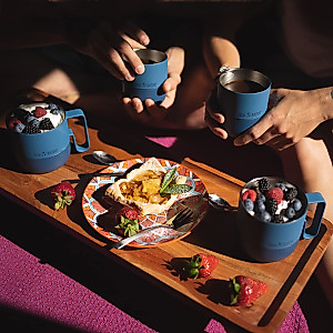 Klean Kanteen 10oz Rise Wine Tumbler - Stainless Steel - Stellar