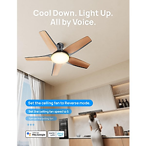 Dreo Smart Ceiling Fans with Lights, Low profile Ceiling Fan with Alexa/App, 52'' Dimmable Lighting & Color Tuning, RGB Ambient Light for Living Room, Game Room, Easy Installation, Quiet, Black
