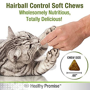 Four Paws Healthy Promise Cat Hairball Control Soft Chews 90 Count