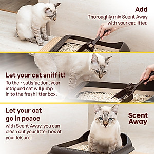 Cat Litter Deodorizer | Litter Box Odor Eliminator | Fragrance-Free with Active Carbon | Eliminates Cat Odors and Smells to Keep Your Home Fresh and Clean (25 LBs)