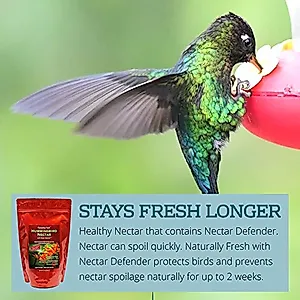 Sapphire Labs Naturally Fresh Hummingbird Nectar with Nectar Defender Lasts Longer in Hummingbird Feeders | Makes 96 oz of Clear Hummingbird Nectar | an Easy Mix Hummingbird Nectar Powder