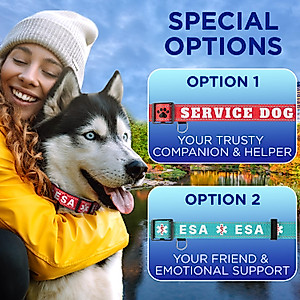 TECEUM Reflective Pet Collar – Purple – M – Extra Soft Padding – Basic Nylon Dog Collar – Quick Release Buckle – Fits Small, Medium and Large Dogs, Puppies, Cats – ESA & Service Dog Options