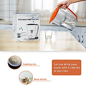SHUILANLAN Water Filter Pitcher 10 Cup with 2 Filter, Filtered Water Pitcher for Fridge(Orange)