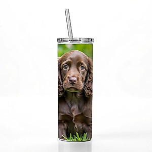 Field Spaniel Dog Puppy Photo Skinny Tumbler 20oz with Straw Insulated Water Bottle Gift