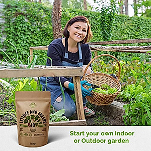 10 Lettuce & Salad Greens Seeds Variety Pack 4800+ Non-GMO Heirloom Lettuce Seeds for Planting Indoors & Outdoors Garden, Hydroponics - Arugula, Radicchio, Kale, Spinach, Swiss Chard, Lettuce & More