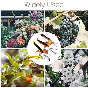 3 Pack Garden Pruning Shears Stainless Steel Blades Handheld Pruners Set with Gardening Gloves