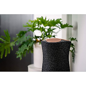 Sony SRS-RA5000 360 Reality Audio Premium Wi-Fi / Bluetooth Wireless Speaker, Works with Alexa and Google Assistant, Black