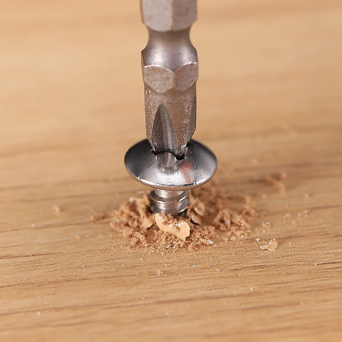 #4 x 1/4" Wood Screw 100Pcs Truss Head Phillips 18-8 (304) Stainless Steel Fast Self Tapping Screws by SG TZH