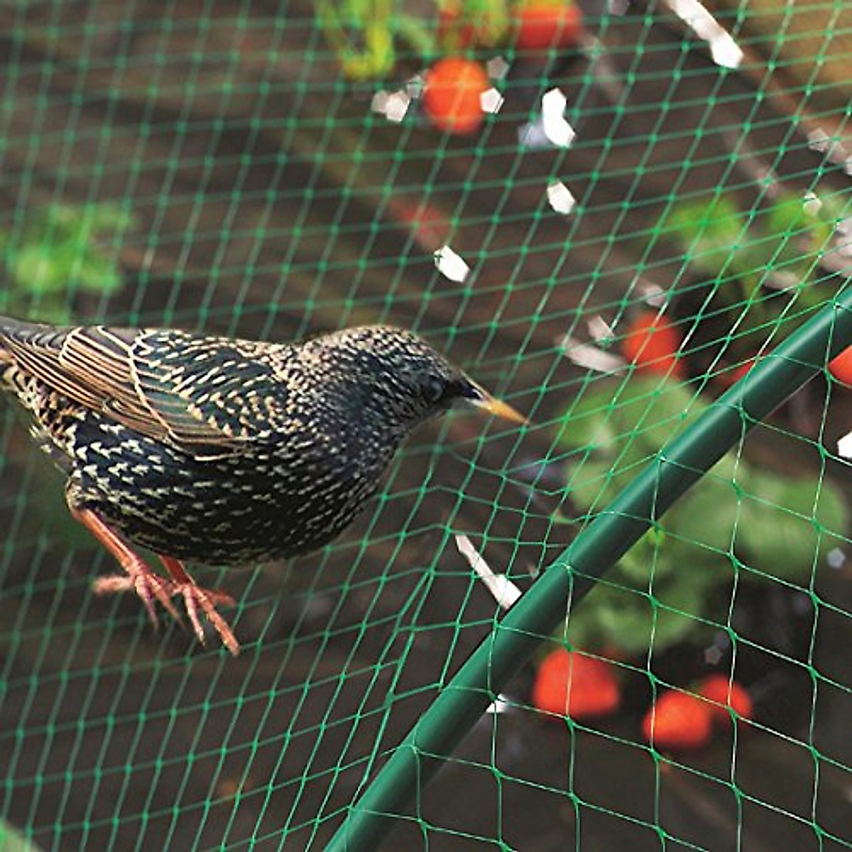HSelar Best Bird Netting - Protect Plants and Fruit Trees from Birds and Wildlife – 13.12Ft x 49.2Ft Bird Netting with 50 Pcs Nylon Cable Ties - Reusable Instantly (Large Size)