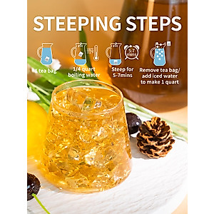 TeeLux Mint Iced Green Tea Bags, Green Tea with Peppermint, Spearmint, and Lemongrass, Family Size Refreshing Iced Tea, 30 Count