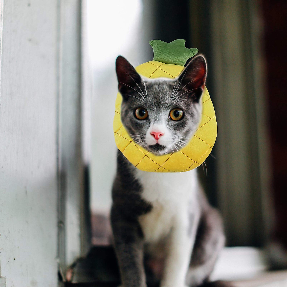 balacoo Elizabeth Circle Cat Healing Collar Small Puppy Collar Catton cat Collar Bite Collar Cat Neck Collar Puppy Collars Adjustable Cat Collar Dog Collar pet Fabric Headgear