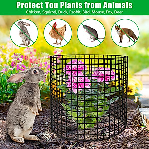 5 Pack Plant Protector from Animals, 13x12 inch Wire Plant Cages Mesh Plant Cage Garden Plant Protector, Sturdy Bunny Barricades Chicken Wire Cloche Plant Protectors for Keeping Bunny Animals Out