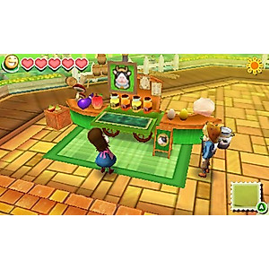 牧場物語 つながる新天地