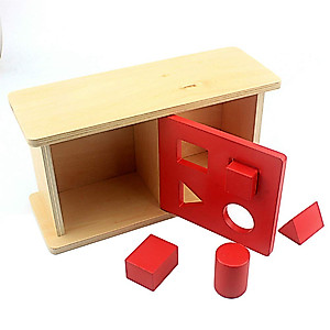 DANNI Montessori Baby Imbucare Box with Flip Lid 4 Shapes Wood Learning Educational Preschool Training Children Practical Life Skills Toy
