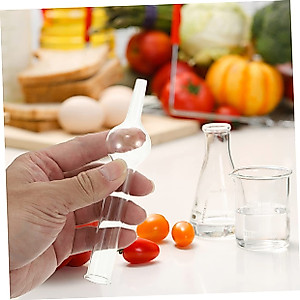 Hemoton 5pcs Chemical Experiment Equipment Candy Tubes Containers Chemistry Drying Tube Glass Laboratory Drying Tube Single Ball Drying Tubes Glass Drying Tubes Filling Glass Tube