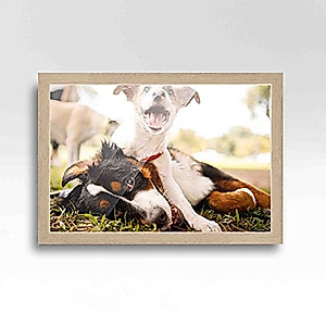 15x44 Frame Grey Real Wood Picture Frame Width 1 Inches | Interior Frame Depth 0.5 Inches | Weatherly Distressed Photo Frame Complete with UV Acrylic, Foam Board Backing & Hanging Hardware