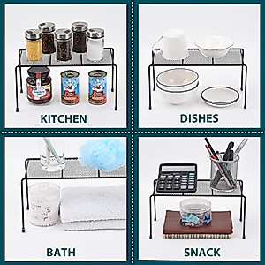 Mini Mesh Kitchen Shelves,Cabinet Storage Shelf Rack, Cabinet Organization ,Kitchen Bathroom Pantry Cupboard Desk Home Office, Fridge, Cabinet, Bathroom Cupboard, Non-slip Plastic Feet (6, Black)