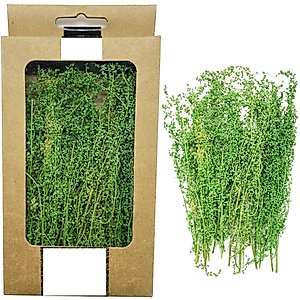 Cayway Miniature Shrubs Model Bushes Long Shrub Vegetation Groups Static Grass Tuft for DIY Model Train Landscape Railroad Scenery, Grass Green