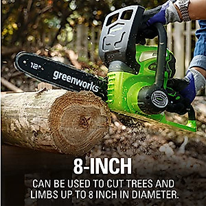 Greenworks 40V 12" Chainsaw, 2.0Ah Battery and Charger Included