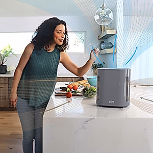 Pure Enrichment® PureZone™ Air Purifier for Bedroom & Living Room, 3-Stage Filtration & UV-C Light, H13 HEPA Filter Helps Remove Bacteria, Pet Hair Dander, Allergens, Germs, Smoke, Dust (Gray)