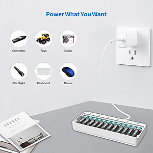 Dlyfull 12 Bay AA AAA Battery Charger, USB and Type-C Selectable High-Speeding Charging for Ni-MH Ni-CD Rechargeable Batteries, USB Cable Included